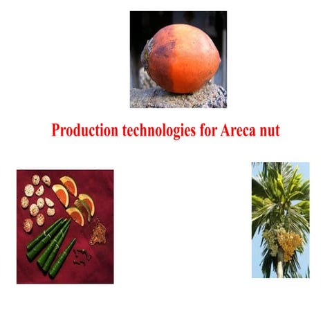 Arecanut Processing.pptx