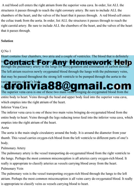 Anatomy and function of the coronary arteries | PPT