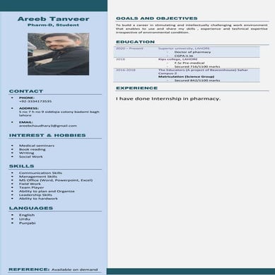 AREEB CH_RESUME (1).docx