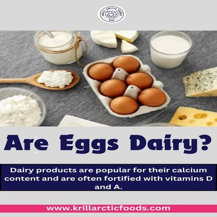 What are the main differences between eggs and dairy products? | PDF
