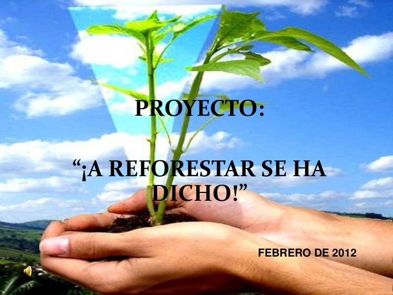 A reforestar se ha dicho