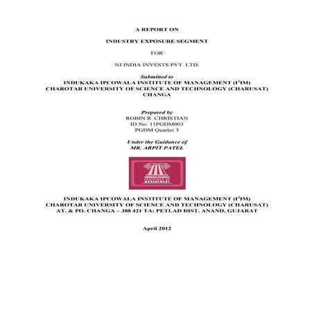 A report on nj india investment | DOCX