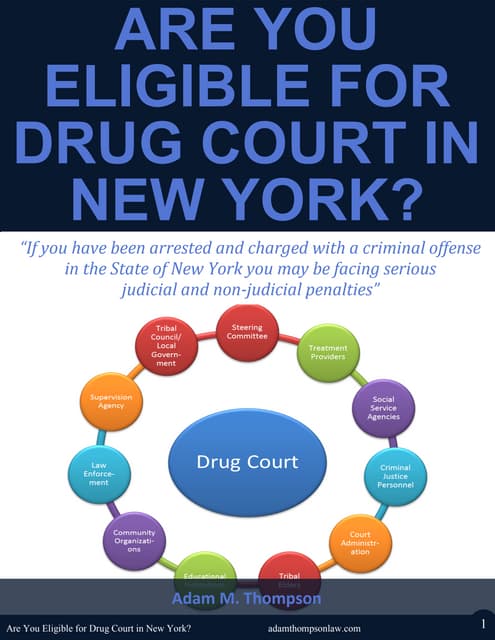 Drug Courts Work! | PPTX