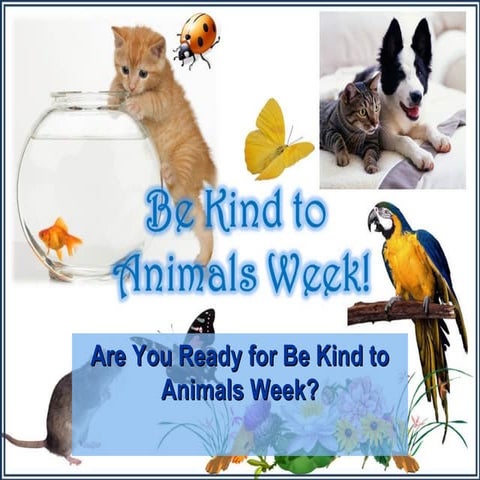 Are you ready for be kind to animals week | PPT