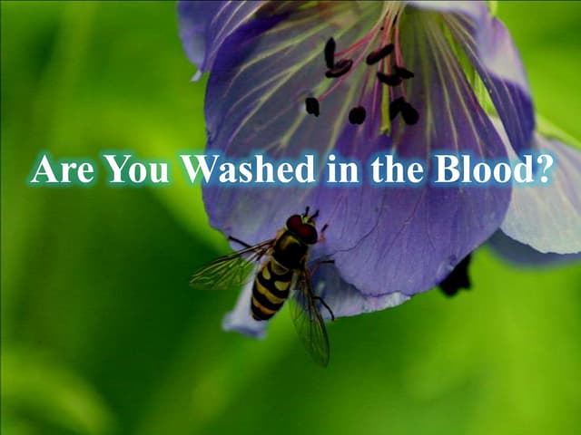Are You Washed in the Blood (hymn with lyrics) | PPTX