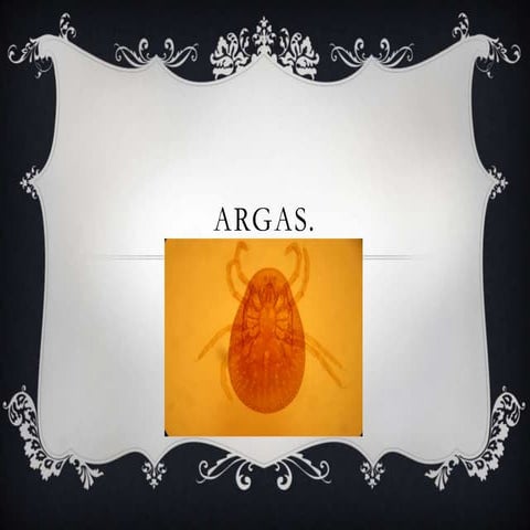 Argas | PPTX