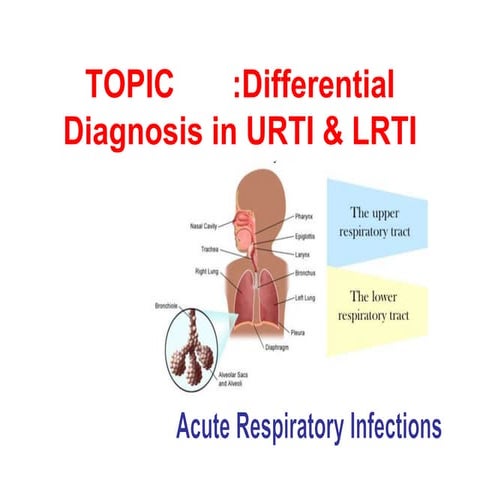 Upper Respiratory Infection (URI) Cheat Sheet | DOCX