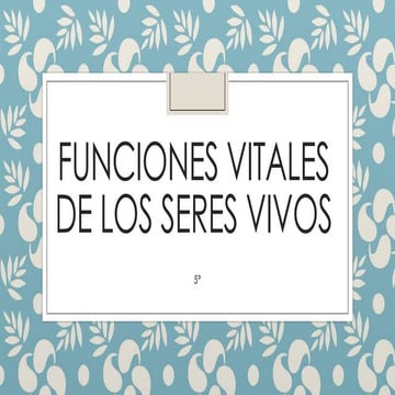 Funciones de los seres vivos. | PPTX