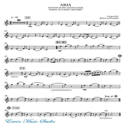 Aria violin | PDF
