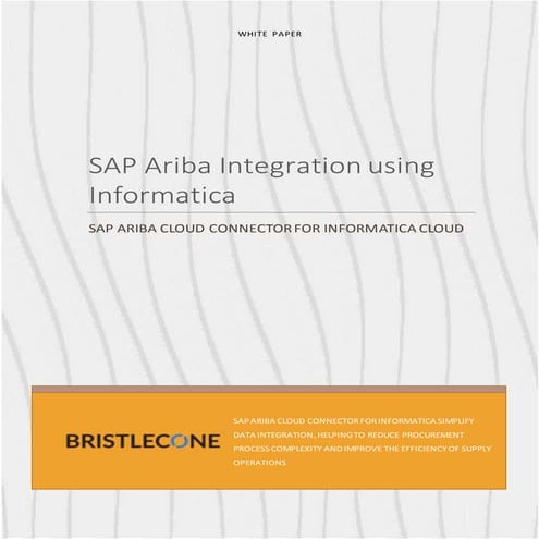 SAP Ariba Integration using Informatica | DOCX