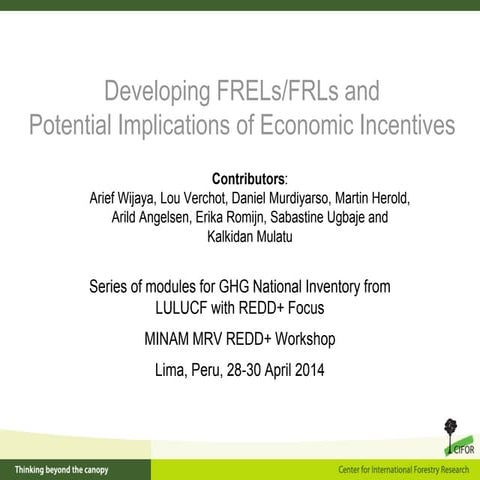 Developing FRELs/FRLs and Potential Implications of Economic Incentives ...