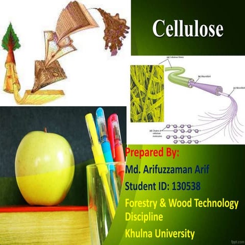 Presentation Slide of Cellulose- Arifuzzaman Arif | PPTX