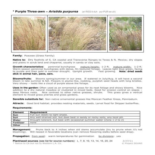 Aristida purpurea | PDF