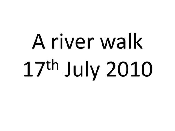 Wareham-two-rivers-walk-leaflet.pdf