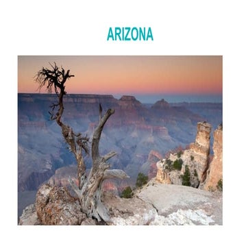 Arizona | PPT