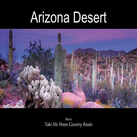 Arizona desert12 | PPS