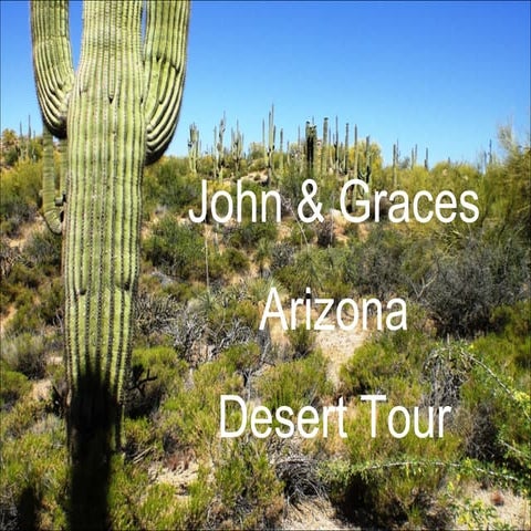 Arizona desert tour | PPT