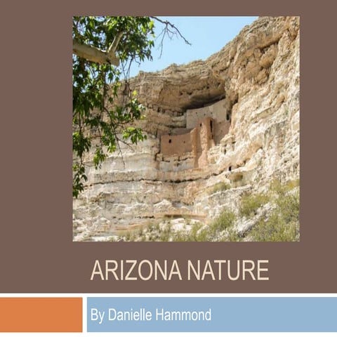 Arizona presentation | PPTX