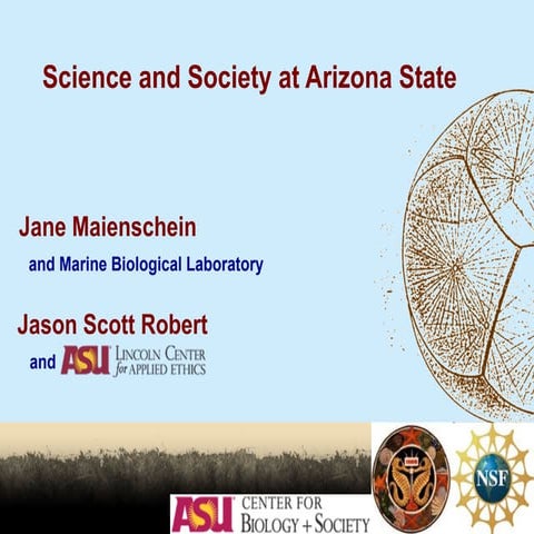 Areas of Excellence | PDF