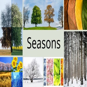 Seasons of the year for kids and children | PPTX