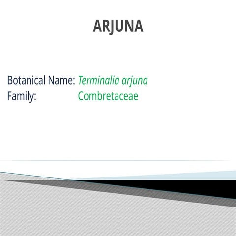 Ayurvedic Detailed drug Arjun(2nd BAMS).pptx