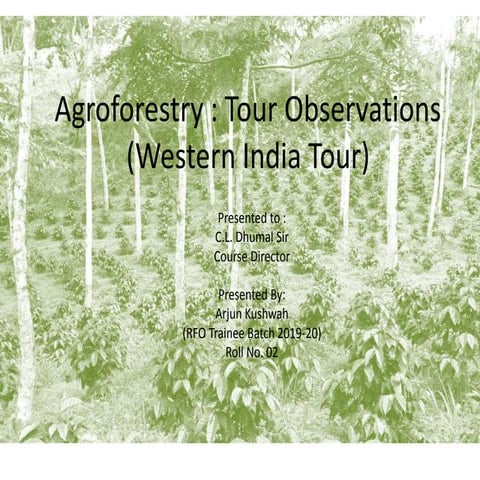 Agroforestry in India and Gujrat Model | PPTX