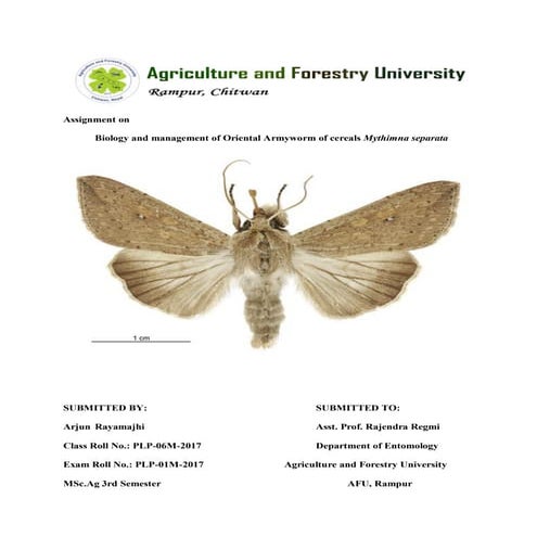 Asp Caterpillar Life Cycle