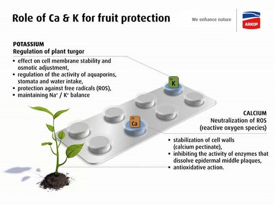 Role of Silicon (Si) & humic acids in crop nutrition | PDF