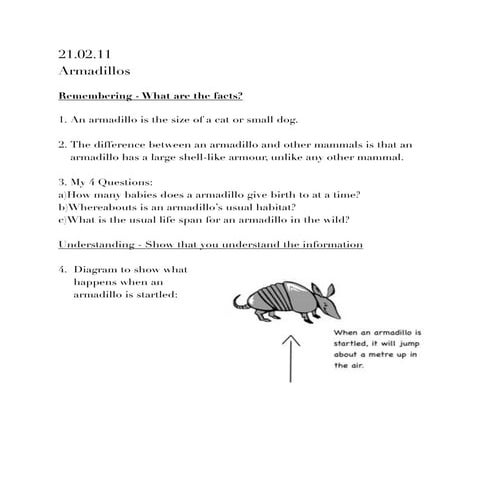 Armadillo Reading Activity | PDF