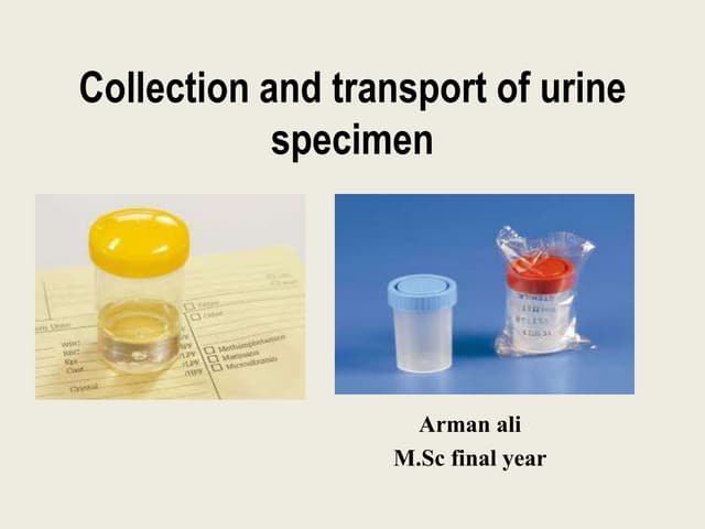TYPES AND COLLECTION OF URINE SPECIMEN.pptx