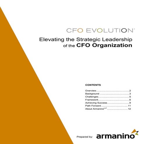 Fractional CFO Client Case Studies | PDF