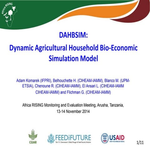 DAHBSIM: Dynamic Agricultural Household Bio-Economic Simulation Model ...