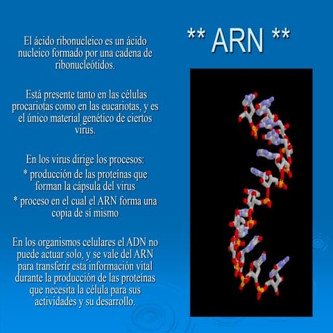 ARN | PPT