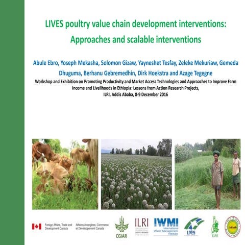 LIVES poultry value chain development interventions: Approaches and scalable interventions | PPT
