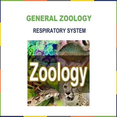ARNIE-REPORT-ZOOLOGY.pptx