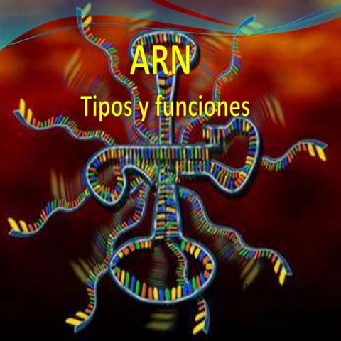 Arn tipos y funciones. | PPTX
