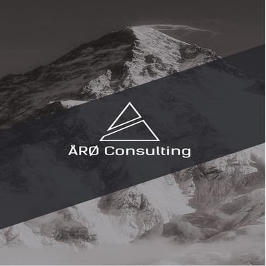 ARO Consulting Services Presentation | PDF