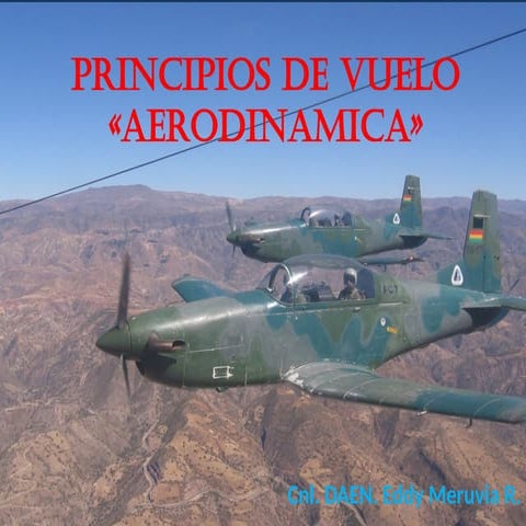 ARODINAMICA 2024 principios de vuelos aereo | PPTX
