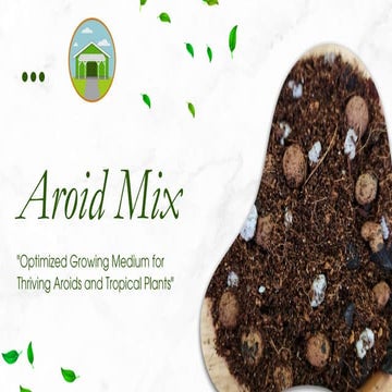 Aroid Mix: The Best Nourishment for your Plant | PDF