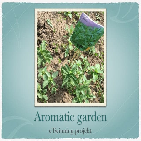 Aromatic garden_project info_ 1.6.2018