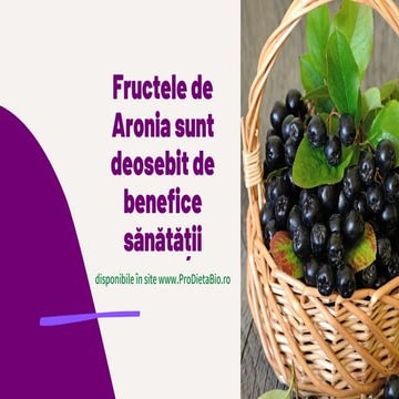 Aronia fructe și suc | PDF