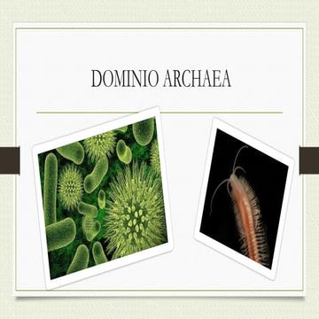 reino de la biologia dominio arquea.pptx