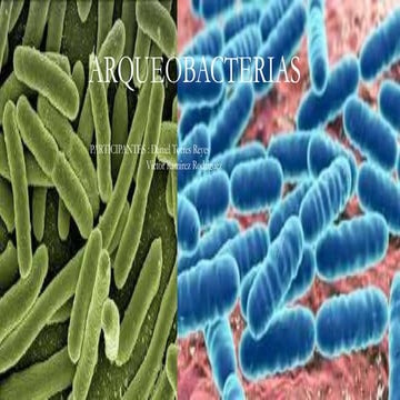 ARQUEOBACTERIAS.pptx