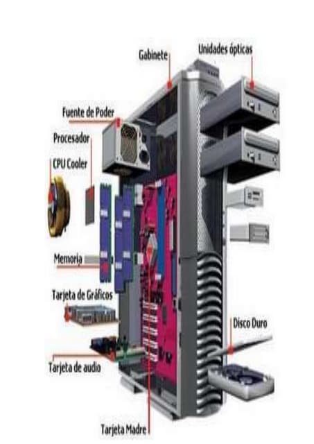 Partes Externas y Internas del Cpu