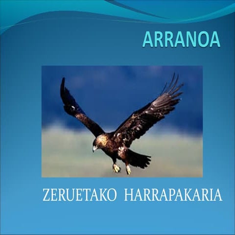 Arranoa iraitz-adur | PPT