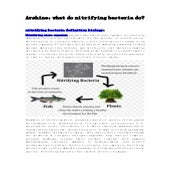 Arshine：what do nitrifying bacteria do.docx