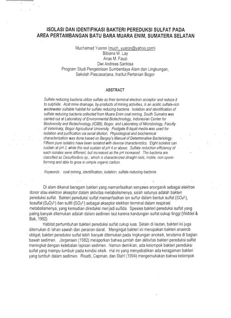 Daur Belerang (Siklus Sulfur) | PPTX