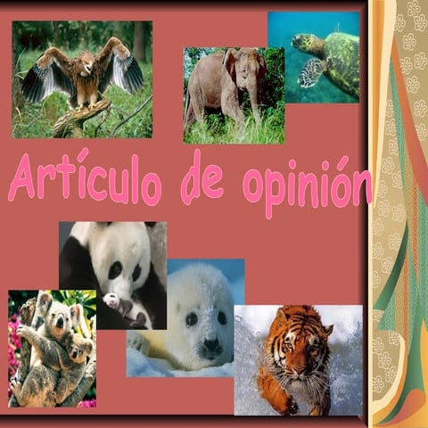 Artículo de opinión sobre animales en extinción. | PPT