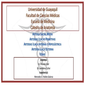Anatomia de la Arteria Iliaca | PPTX