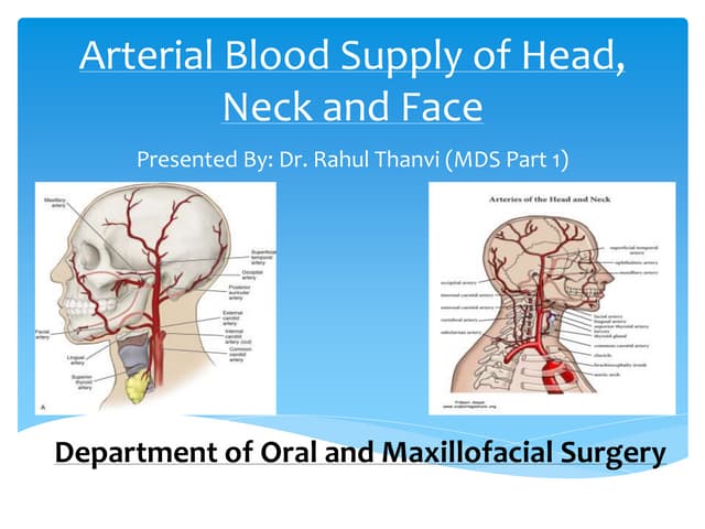 Surface marking Head Neck.ppt | Death, Injury, or Military Conflict ...